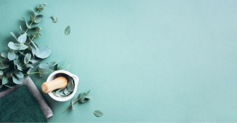 13 DOH-approved herbal plants you should know about - WhatALife! 13 DOH-approved herbal plants you should know about - WhatALife!